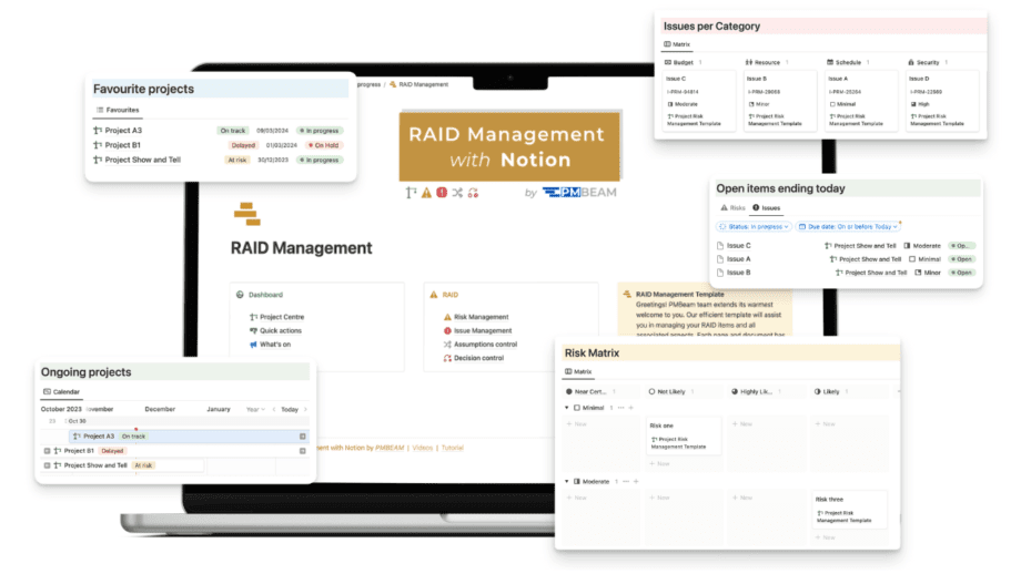 RAID Management Template - PMBeam